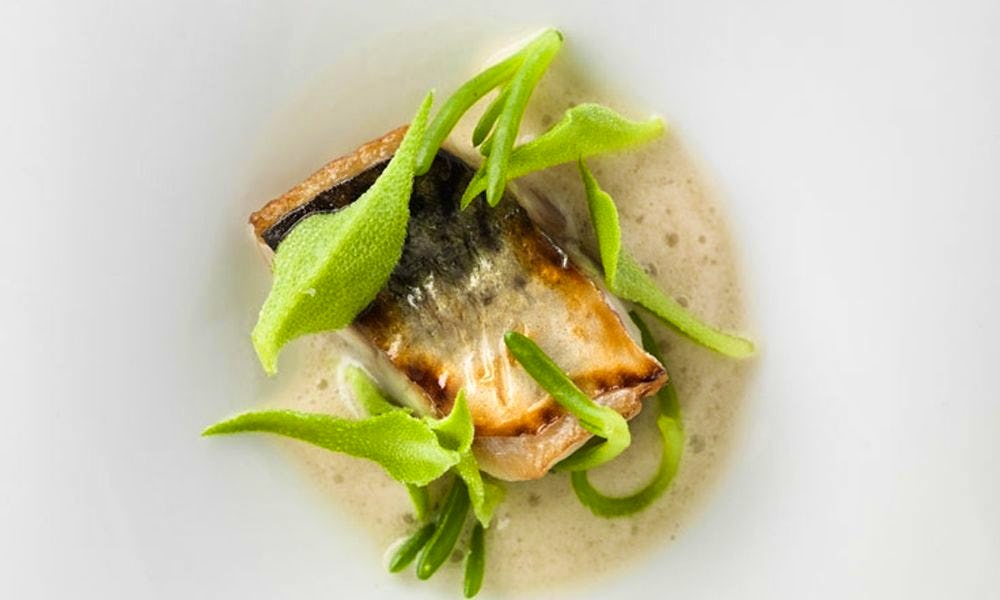 Michelin Green Star: A complete guide to the sustainable restaurant award