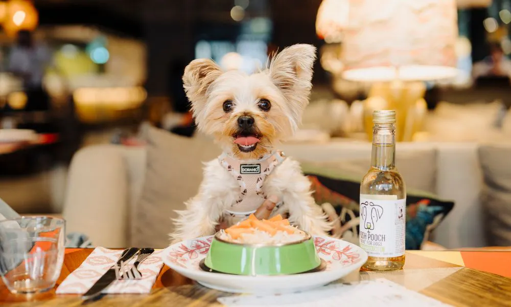 19 of the most dog-friendly restaurants in London