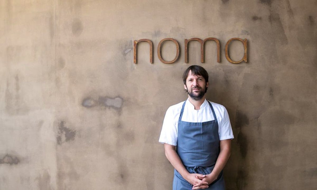 Noma chef sought therapy after bullying staff
