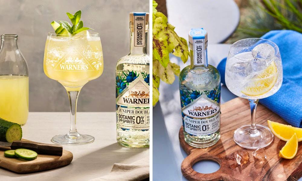 Best alcohol-free gin 2025: 17 non-alcoholic gins for teetotal tippling