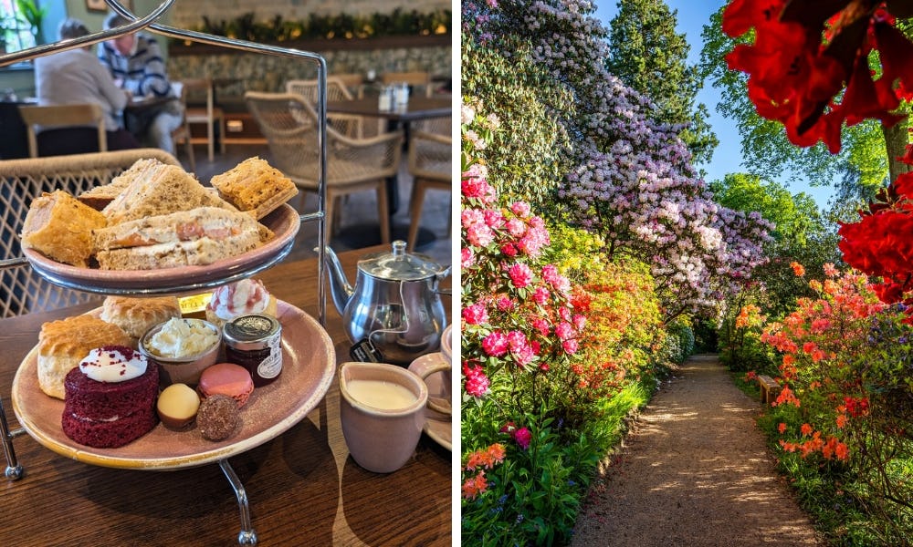 The best afternoon teas in Brighton: 10 unmissable experiences