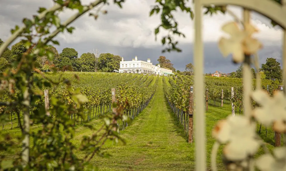 Best vineyards in the UK: 13 stunning wineries you can visit