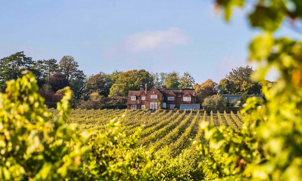 Best vineyards in the UK: 12 stunning wineries you can visit