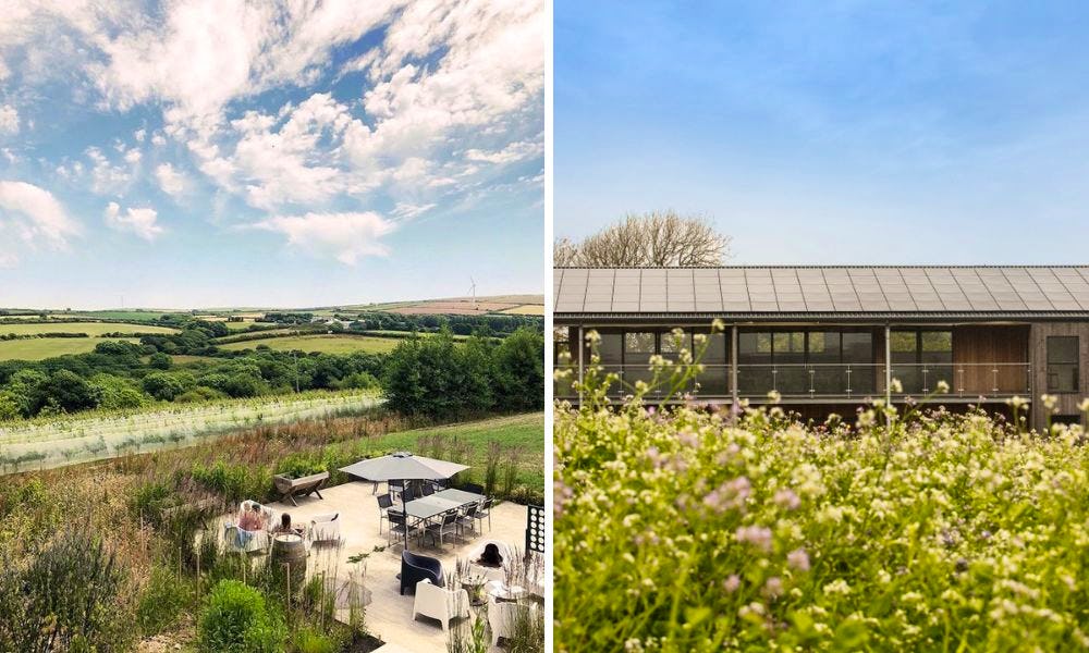 Best vineyards in the UK: 13 stunning wineries you can visit