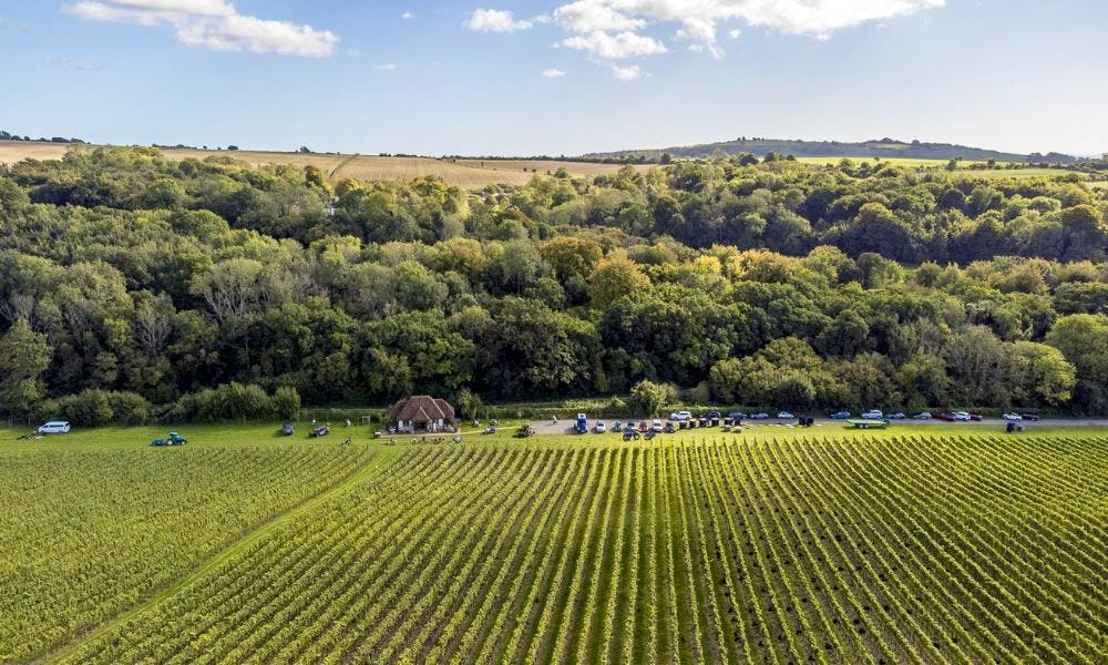 Best vineyards in the UK: 13 stunning wineries you can visit