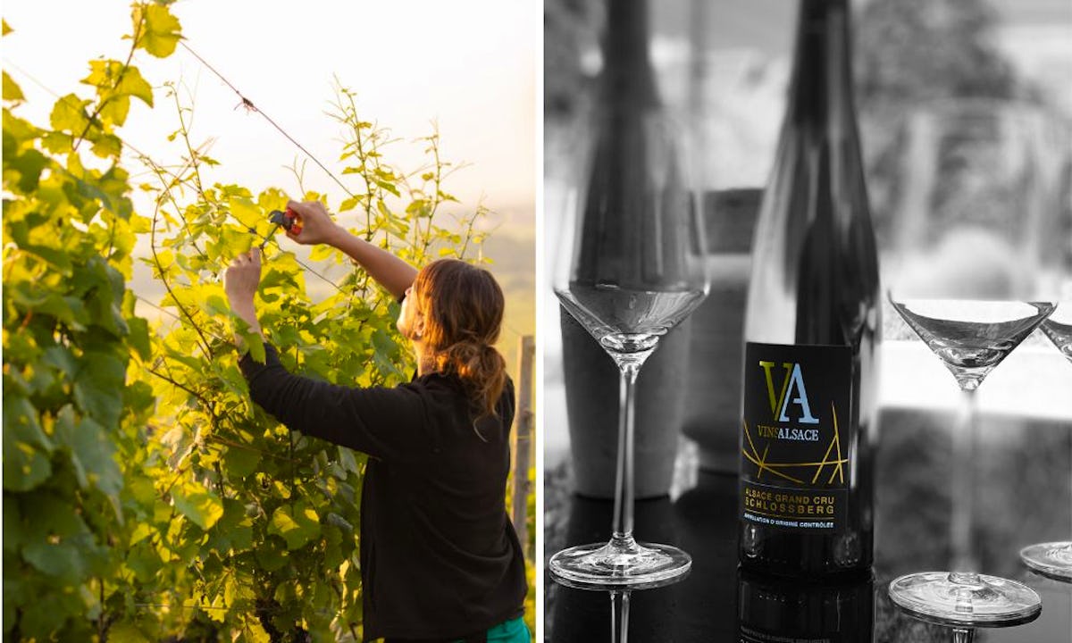 Everything you need to know about Alsace wine