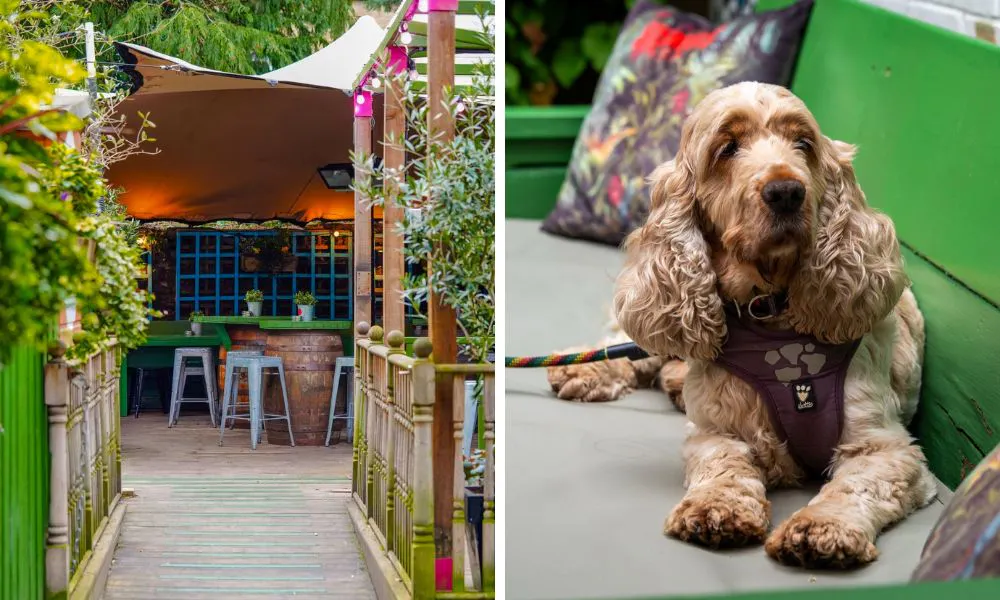 10 of the most dog-friendly restaurants in Edinburgh
