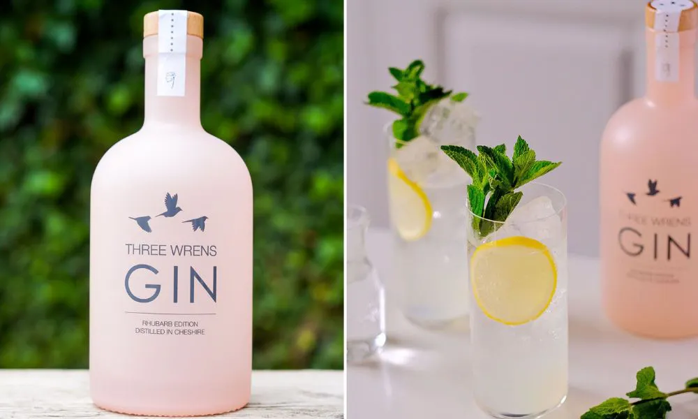 17 of the best pink gin brands to try this year