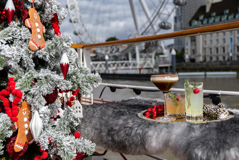 Thames Luxury Charters in London - Christmas party venues