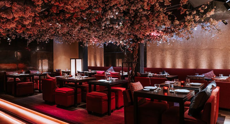 Shochu Lounge at Roka Charlotte Street, London - Restaurant Review ...