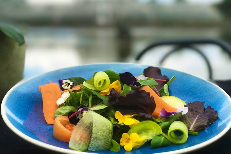 The Botanical Brasserie at Kew, London - Restaurant Review, Menu ...