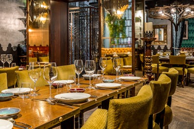 Coya City, London - Restaurant Review, Menu, Opening Times
