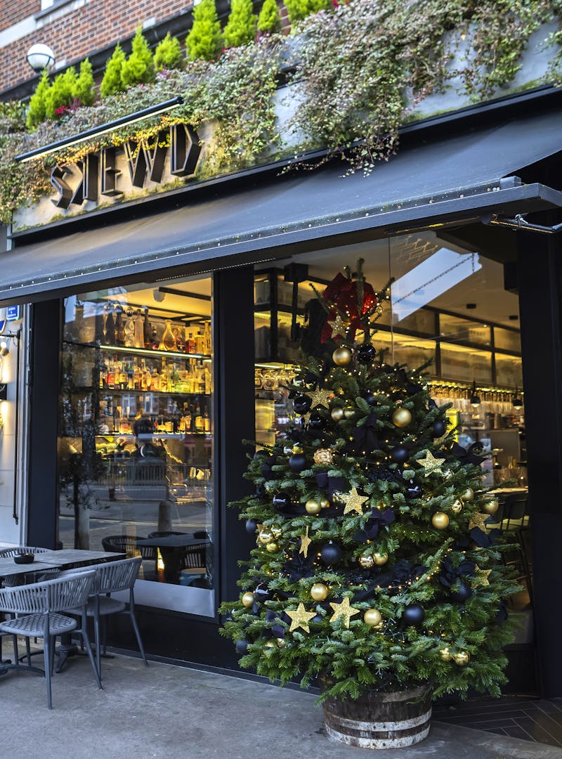 SKEWD Kitchen, London - Restaurant Review, Menu, Opening Times