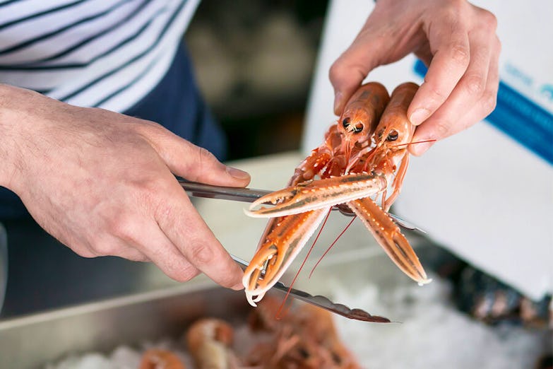 The Fishmarket Newhaven, Edinburgh - Restaurant Reviews, Bookings ...