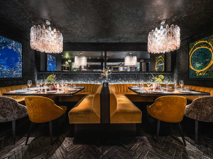 YOPO at the Mandrake, London - Restaurant Review, Menu, Opening Times
