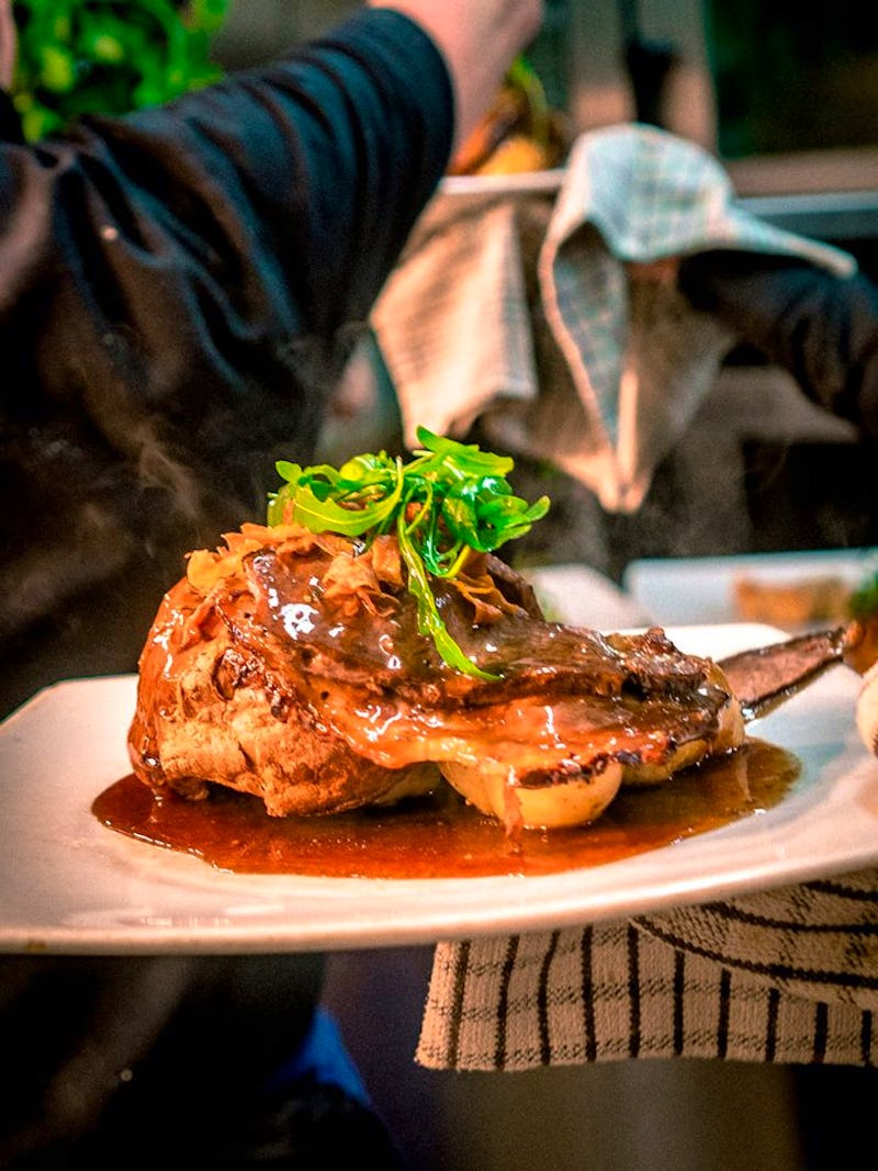 The Toad, North Wales - Restaurant Review, Menu, Opening Times