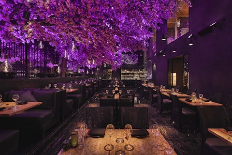 La Bellezza Birmingham, West Midlands - Restaurant Review, Menu ...