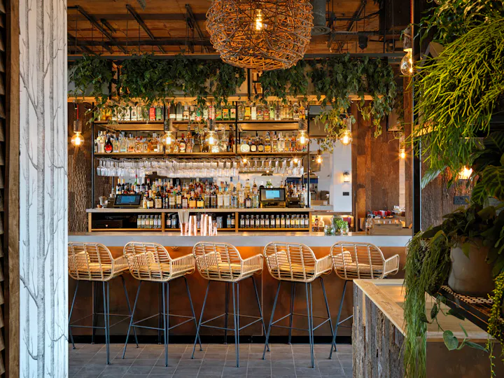 Madera at Treehouse London, London - Restaurant Review, Menu, Opening Times