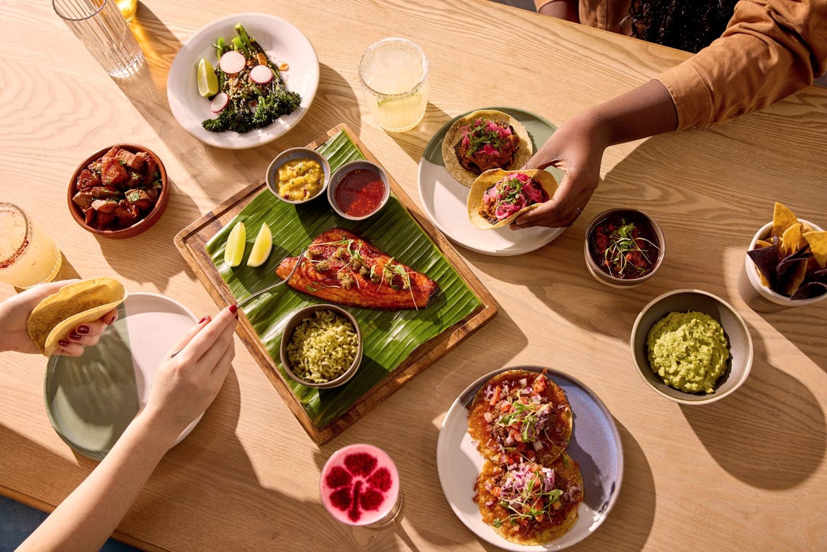Wahaca Edinburgh, Edinburgh - Restaurant Review, Menu, Opening Times