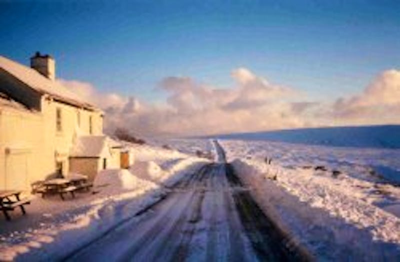 The Warren Inn, Devon - Restaurant Review, Menu, Opening Times