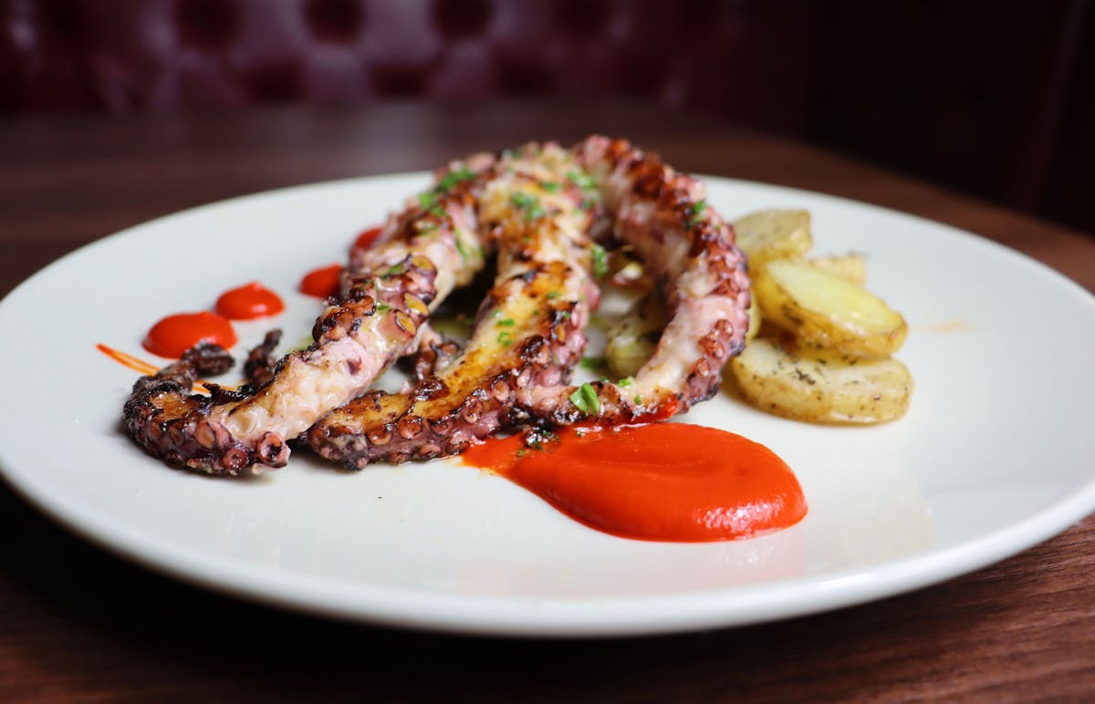 Andanza, London - Restaurant Review, Menu, Opening Times