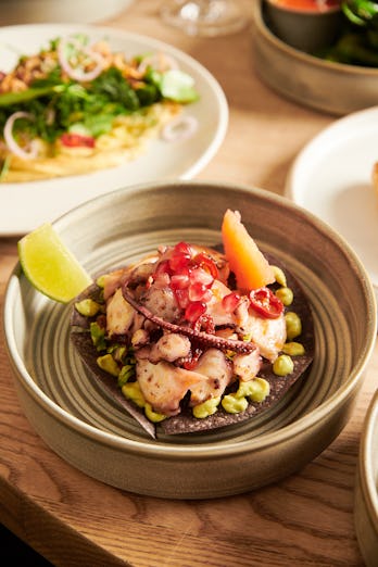 Sucre, London - Restaurant Review, Menu, Opening Times