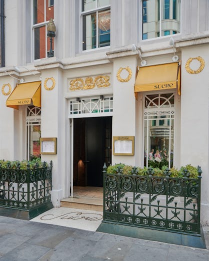Sucre, London - Restaurant Review, Menu, Opening Times