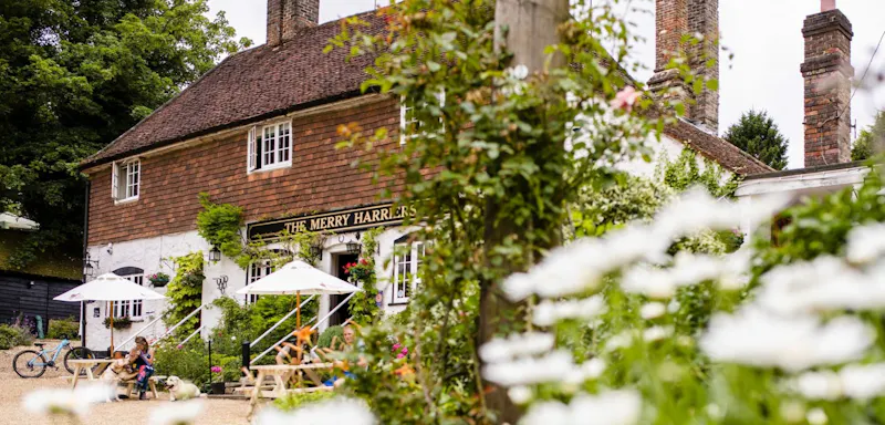 The Merry Harriers Godalming, Surrey - Restaurant Review, Menu, Opening ...