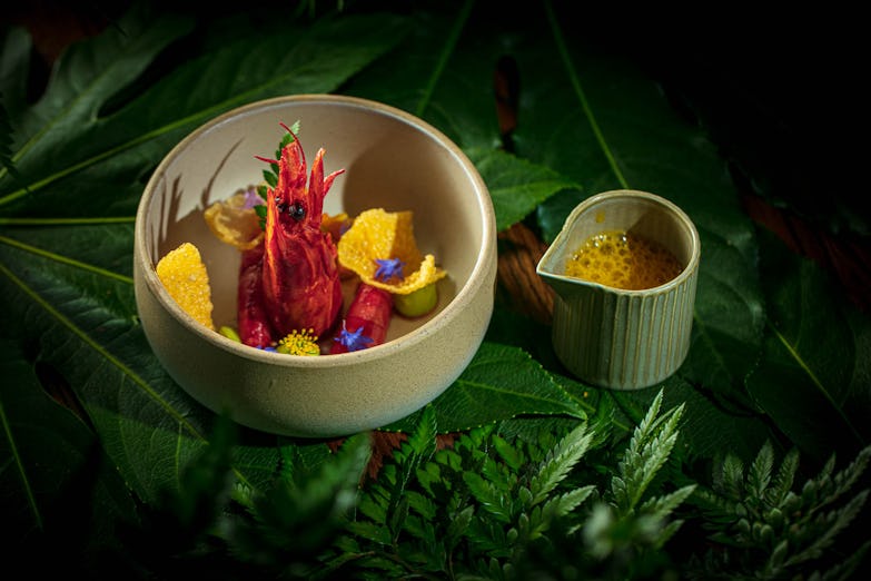 Inca London, London - Restaurant Review, Menu, Opening Times