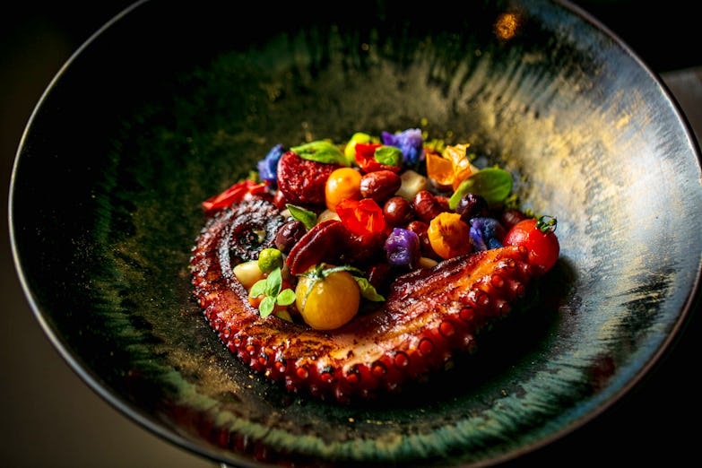 Inca London, London - Restaurant Reviews, Bookings, Menus, Phone Number ...