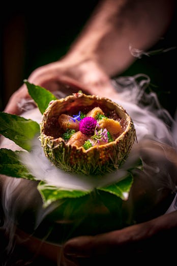 Inca London, London - Restaurant Reviews, Bookings, Menus, Phone Number ...