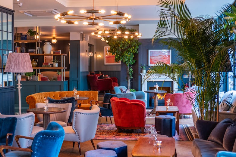 Coppa Club Putney, London - Restaurant Review, Menu, Opening Times