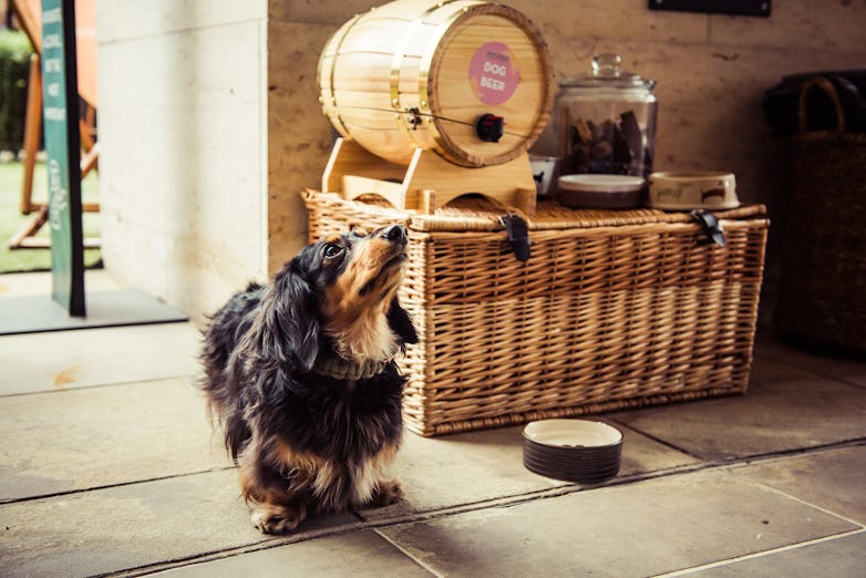 Rotunda, London - Restaurant Review, Menu, Opening Times