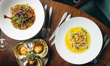 Wagtail, London - Restaurant Review, Menu, Opening Times