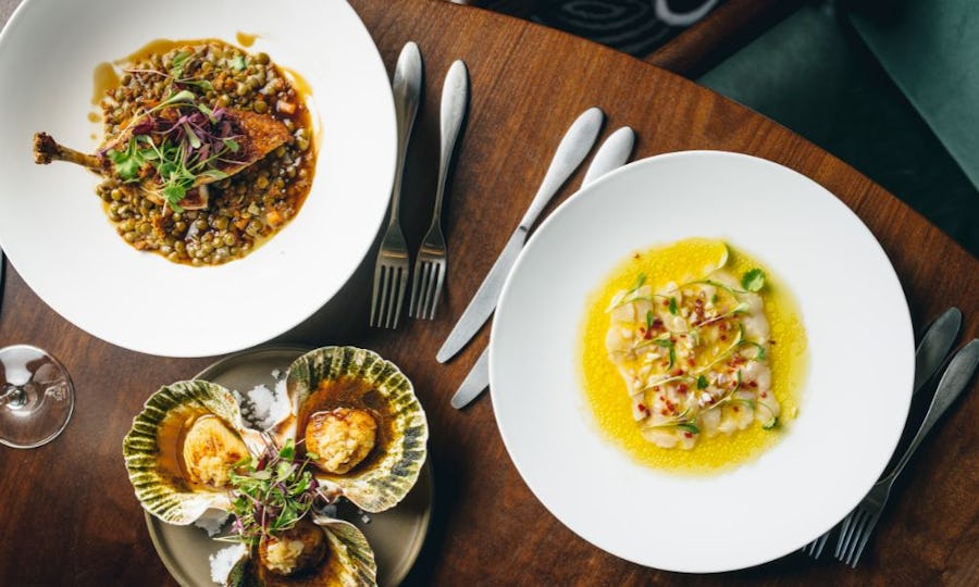 Wagtail, London - Restaurant Review, Menu, Opening Times