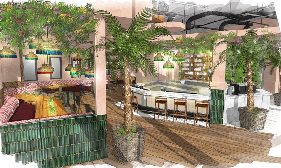 The Palm House, London - Restaurant Review, Menu, Opening Times