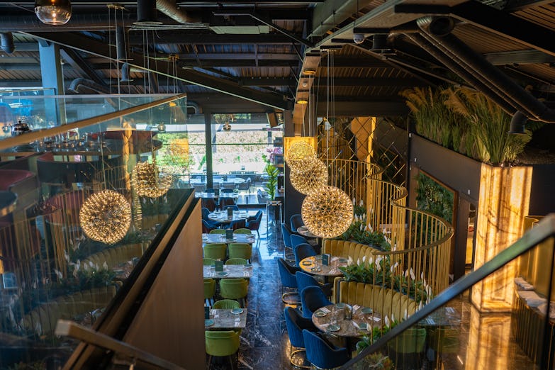 Nova Restaurant, London - Restaurant Review, Menu, Opening Times