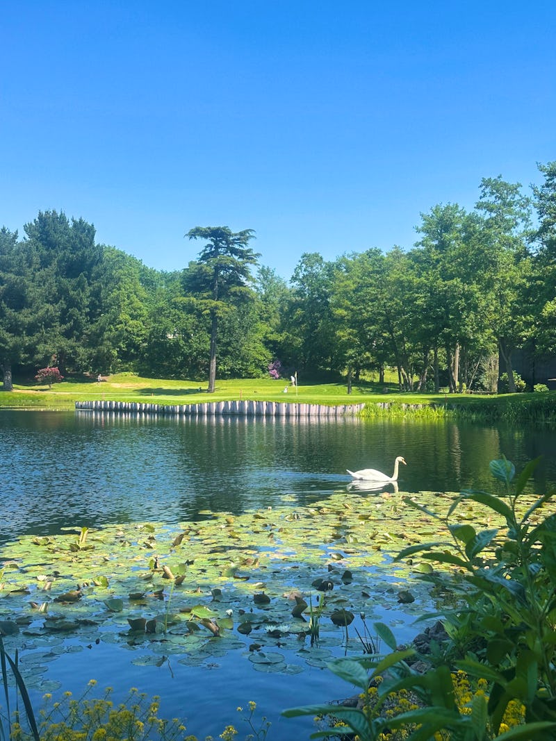 Silvermere Inn on the Lake, Surrey - Restaurant Review, Menu, Opening Times