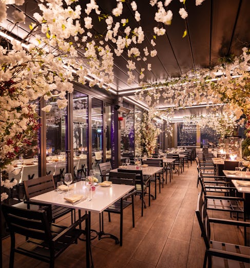 STK Rooftop Steakhouse & Bar, London - Restaurant Review, Menu, Opening ...