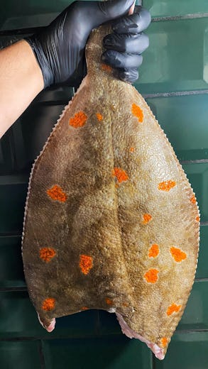 Fish and Forest, North Yorkshire - Restaurant Review, Menu, Opening Times