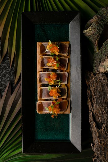 Syon Lounge, London - Restaurant Review, Menu, Opening Times