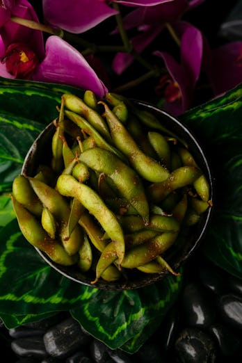 Syon Lounge, London - Restaurant Review, Menu, Opening Times