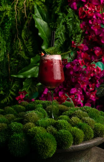 Syon Lounge, London - Restaurant Review, Menu, Opening Times