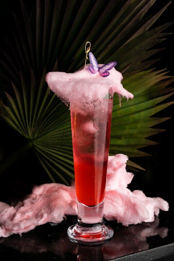 Syon Lounge, London - Restaurant Review, Menu, Opening Times