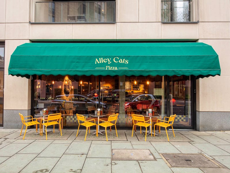 Alley Cats Marylebone, London - Restaurant Review, Menu, Opening Times