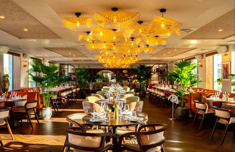 Kitty Hawk , London - Restaurant Review, Menu, Opening Times