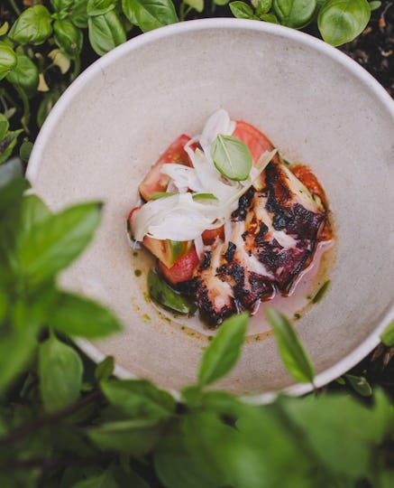 Kynd, West Midlands - Restaurant Review, Menu, Opening Times