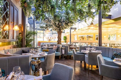 Piccolino - Henley-on-Thames, Berkshire - Restaurant Review, Menu ...