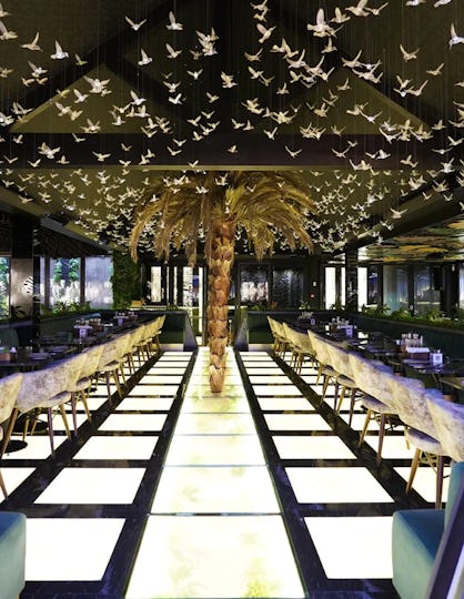 Palm by H20, West Midlands - Restaurant Review, Menu, Opening Times