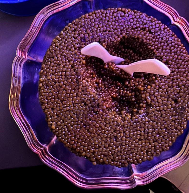 Punk Royale London, London - Restaurant Review, Menu, Opening Times